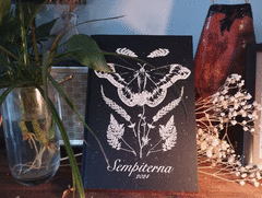 SEMPITERNA 2024 | AGENDA 2024 Traficantes de Sueños